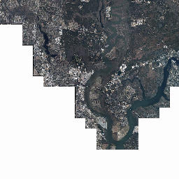 ArcGIS Web Application
