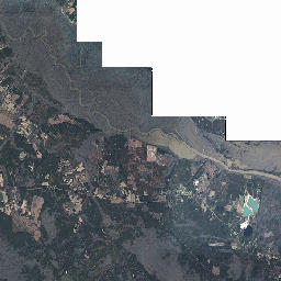 ArcGIS Web Application