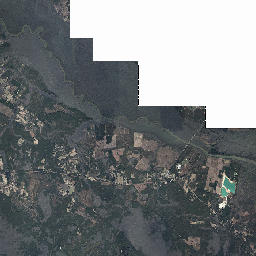 ArcGIS Web Application